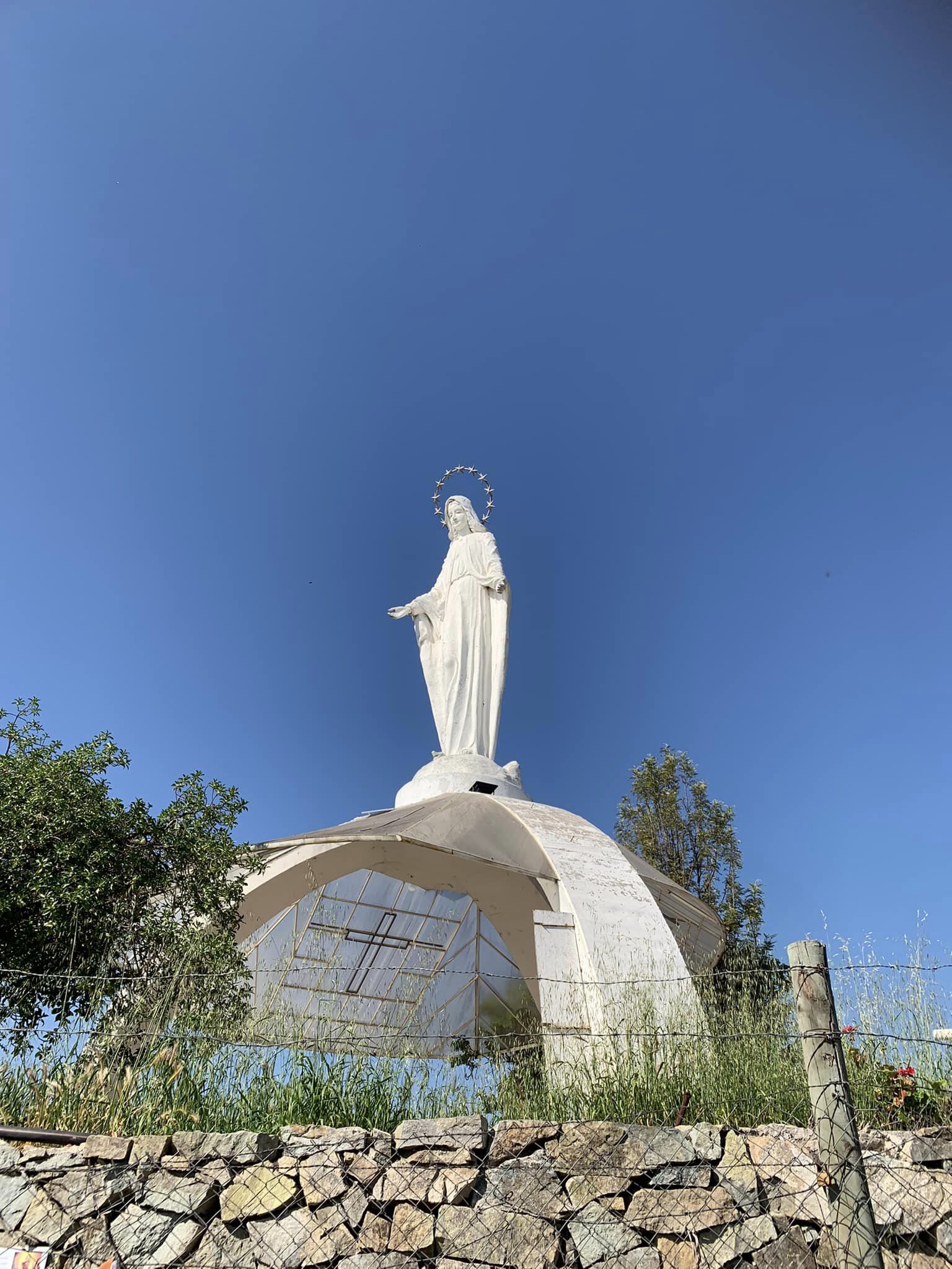 Reforestación del Santuario de la Virgen del Cerro Chena – Obispado de San Bernardo